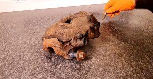 Heavy Rust On Brake Rotors: Repair Or Replace? - Brake Pad Boss